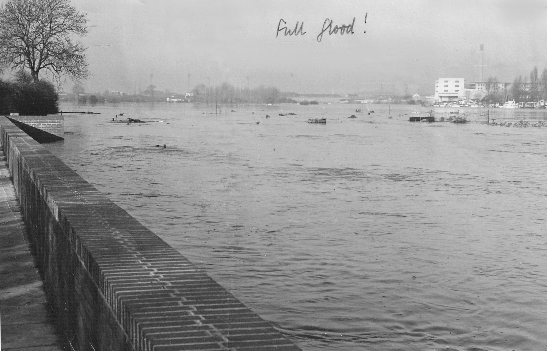 History of The Hook – Friends of The Hook